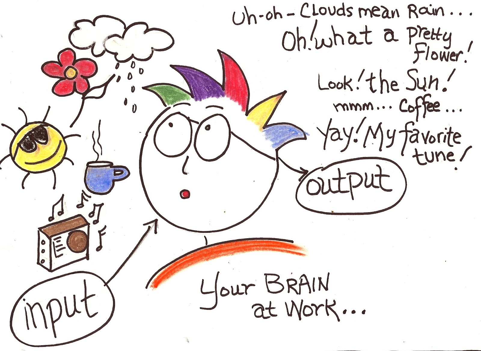 Brain-Based Learning for Homeschoolers : Suki Wessling: writer, teacher ...